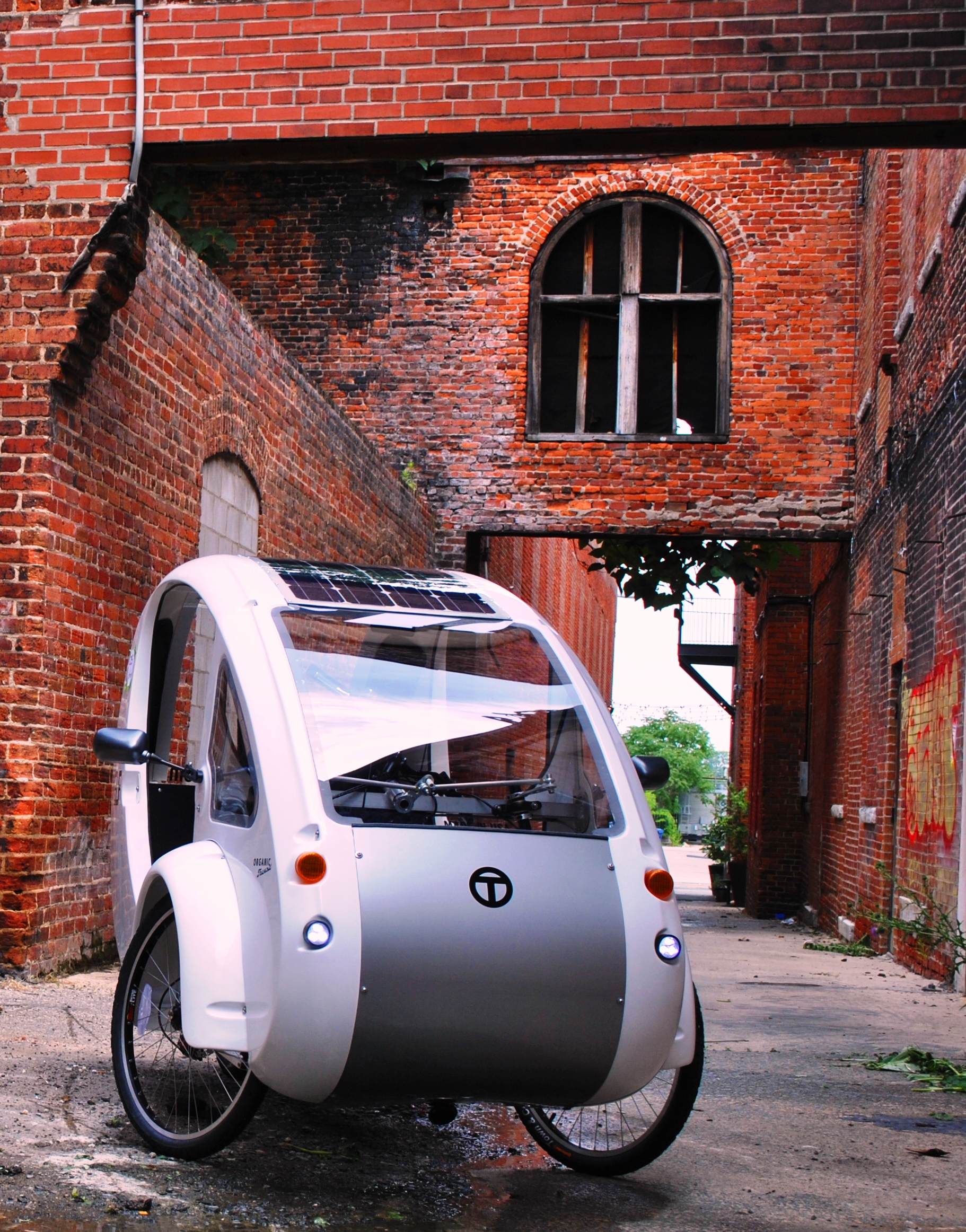 basic elf | Organic Transit