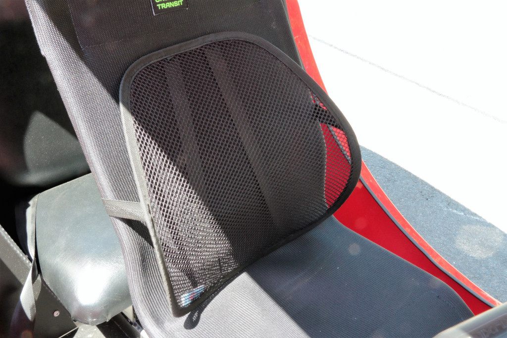 Ergonomic Mesh Back Support | Organic Transit